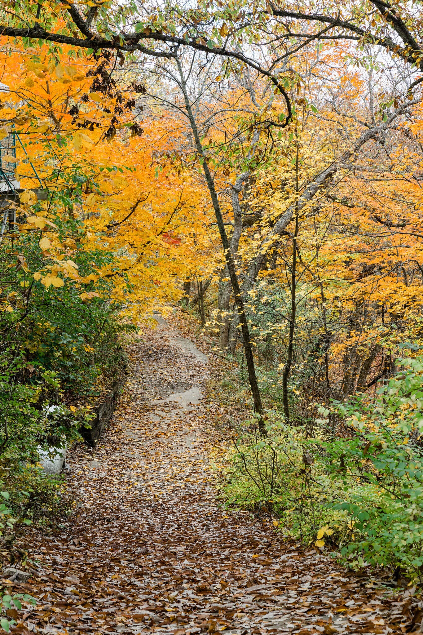 14 Best Places to Catch Fall Foliage in Greater Peoria - Discover ...