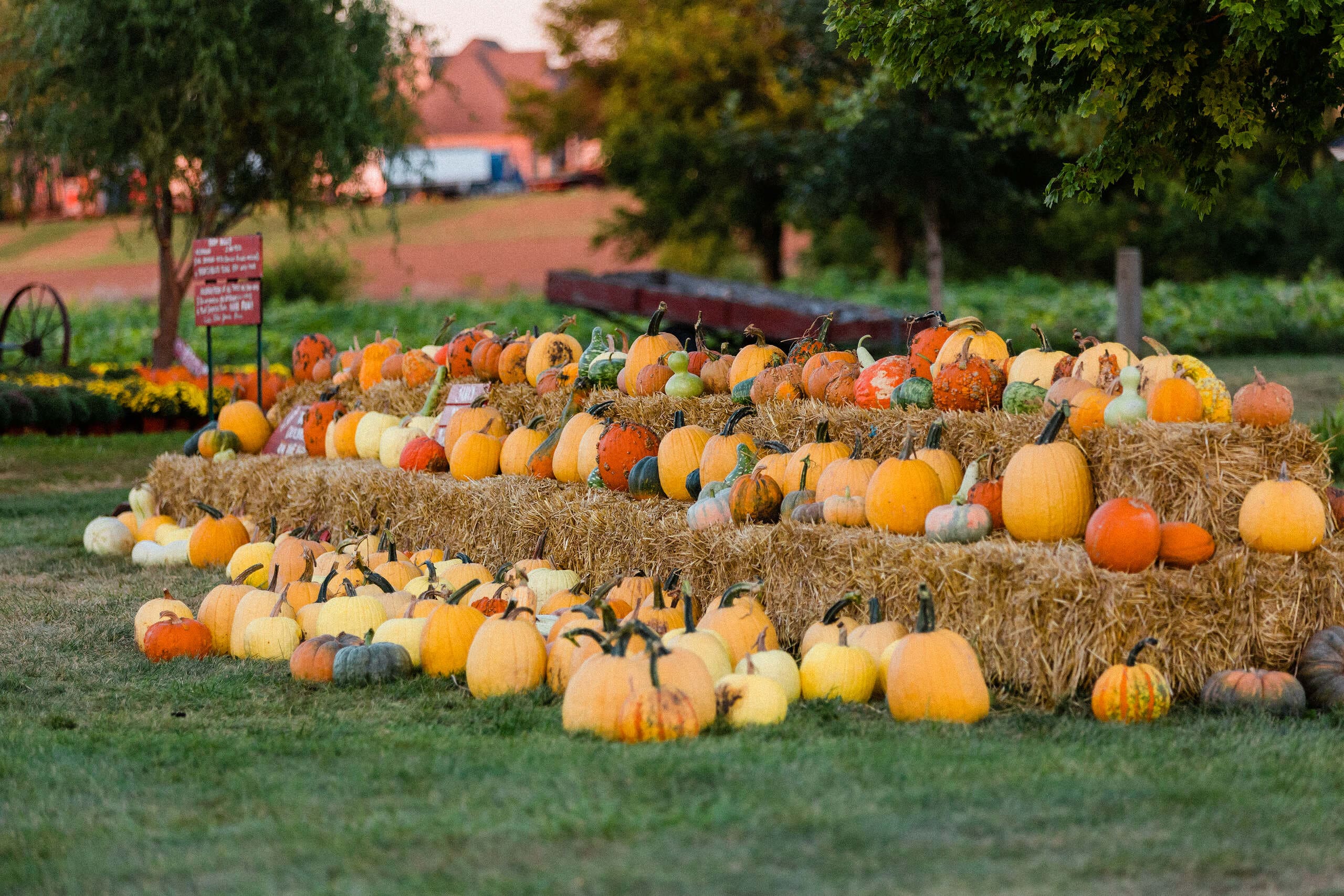 How to Make a Local Farm Fresh Thanksgiving - Discover Peoria, IL