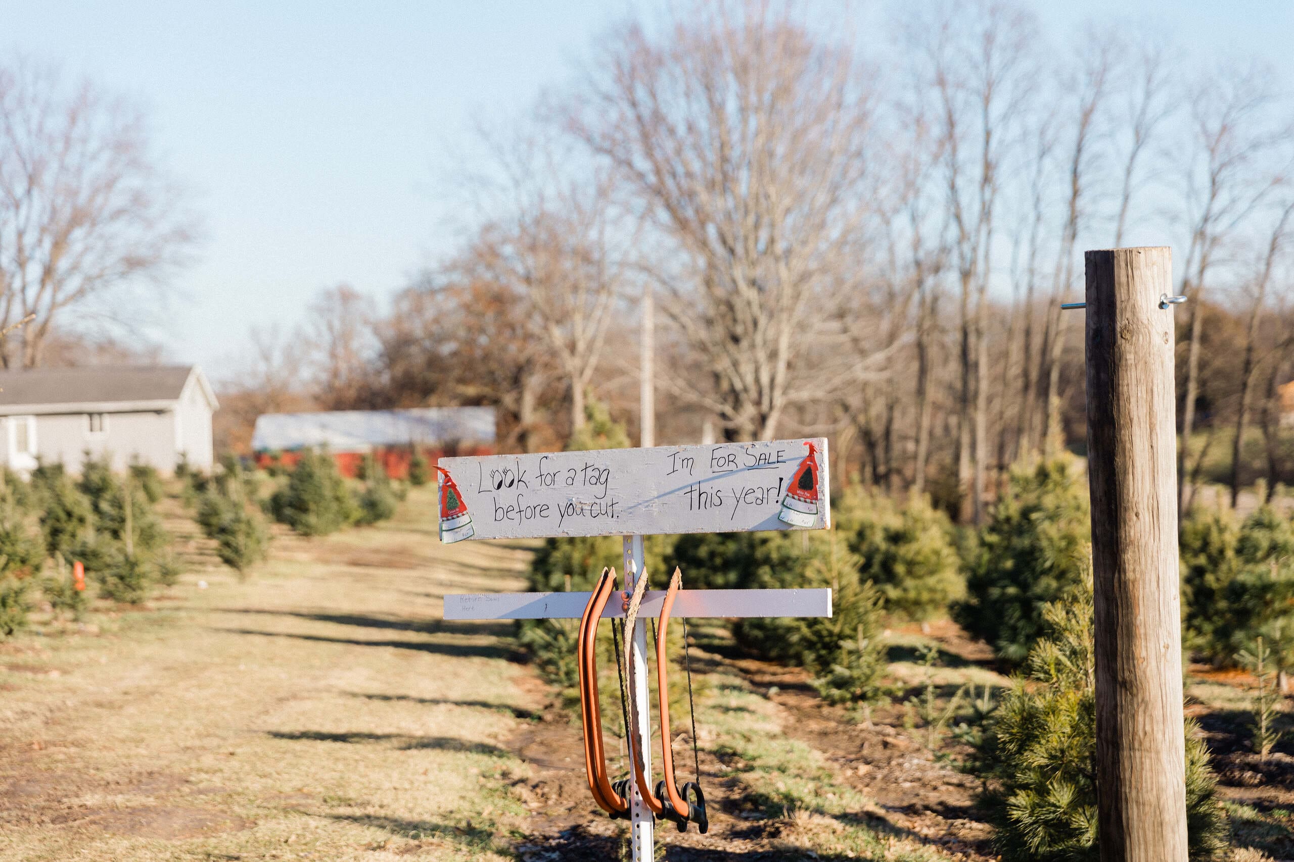 Greater Peoria Christmas Tree Farms - Discover Peoria, IL