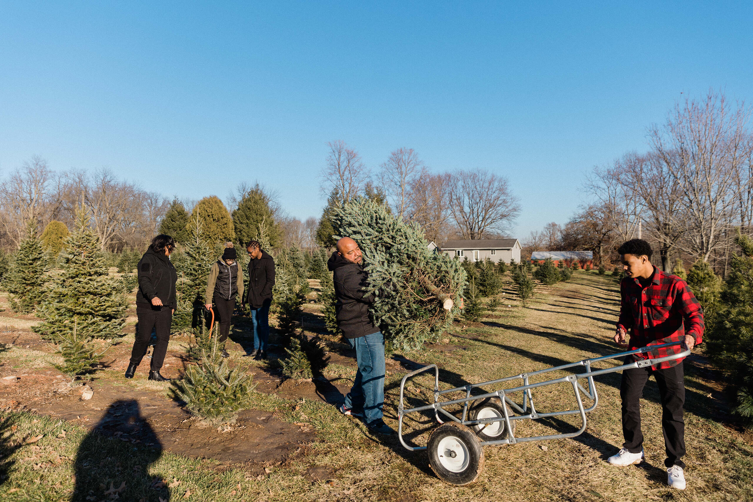 Greater Peoria Christmas Tree Farms - Discover Peoria, IL