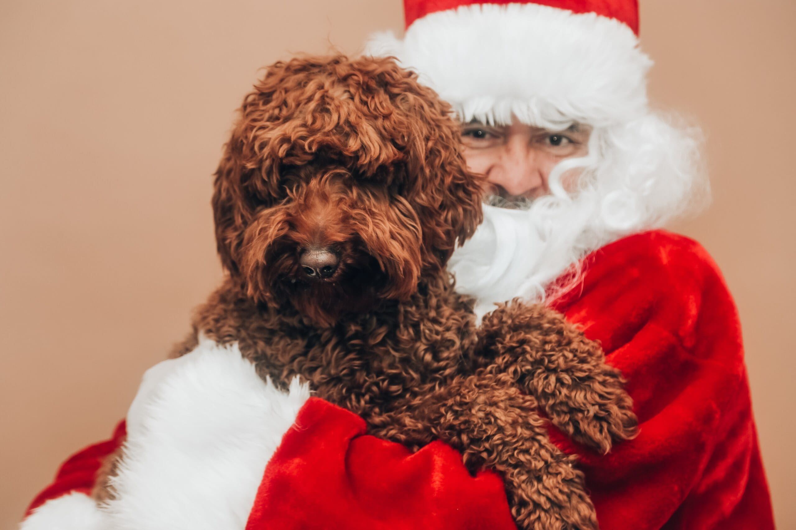 Santa Sightings in the Greater Peoria Area - Discover Peoria, IL