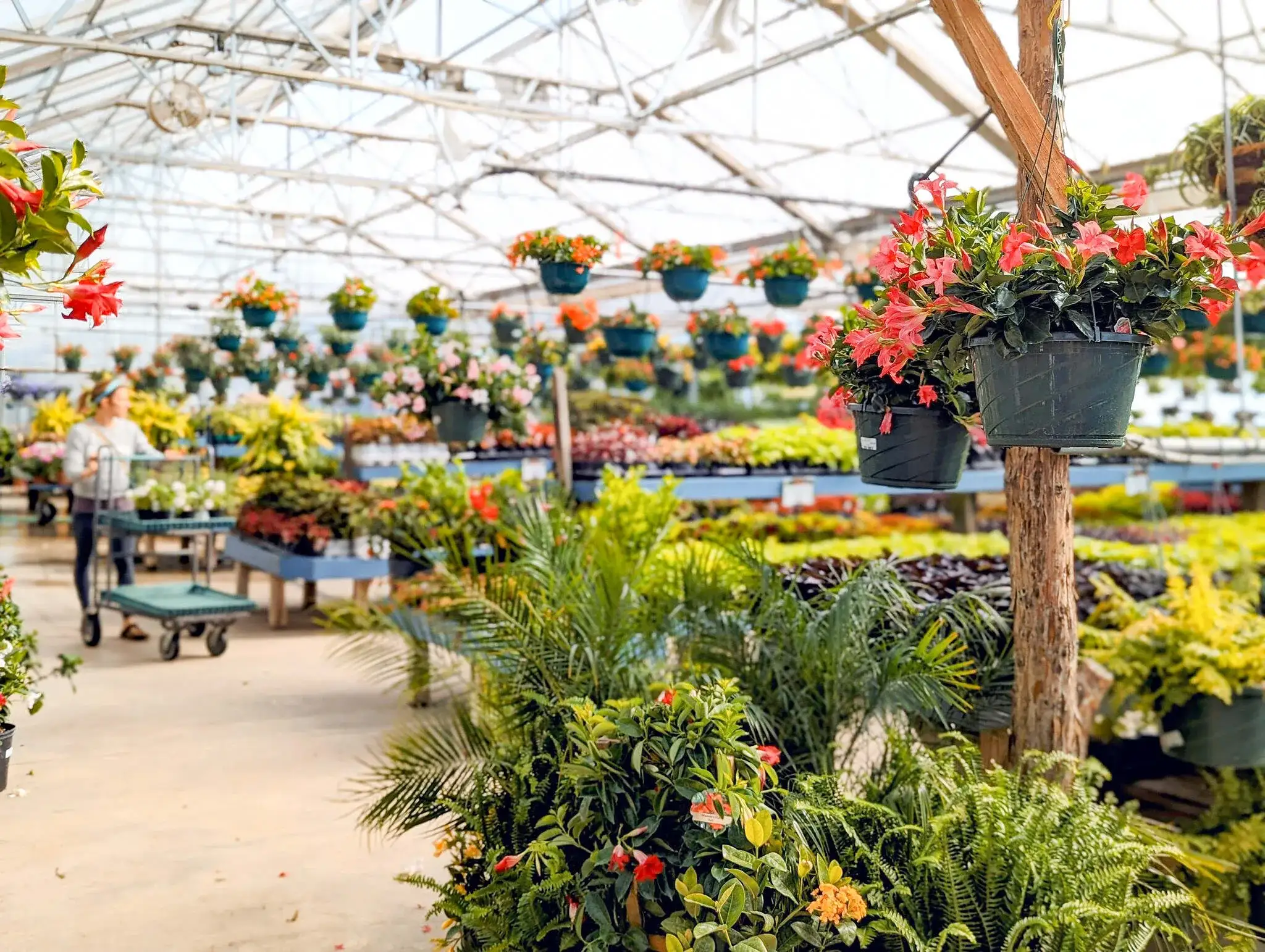 Florists + Nurseries in Greater Peoria - Discover Peoria, IL