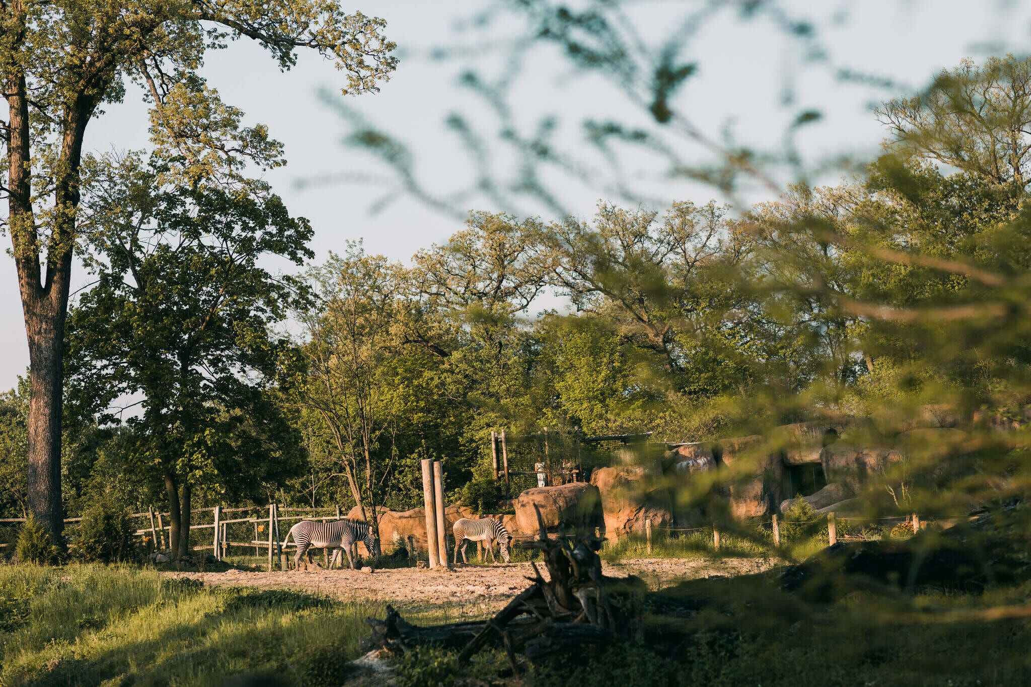 Discover Illinois' Largest Park System: The Peoria Park District ...