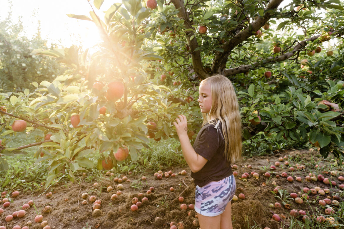 Plan Your Visit to the Pekin Marigold Festival - Discover Peoria, IL